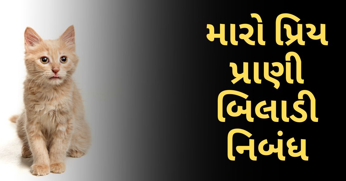 મારો પ્રિય પ્રાણી બિલાડી નિબંધ: Maro Priya Prani Biladi Nibandh in Gujarati
